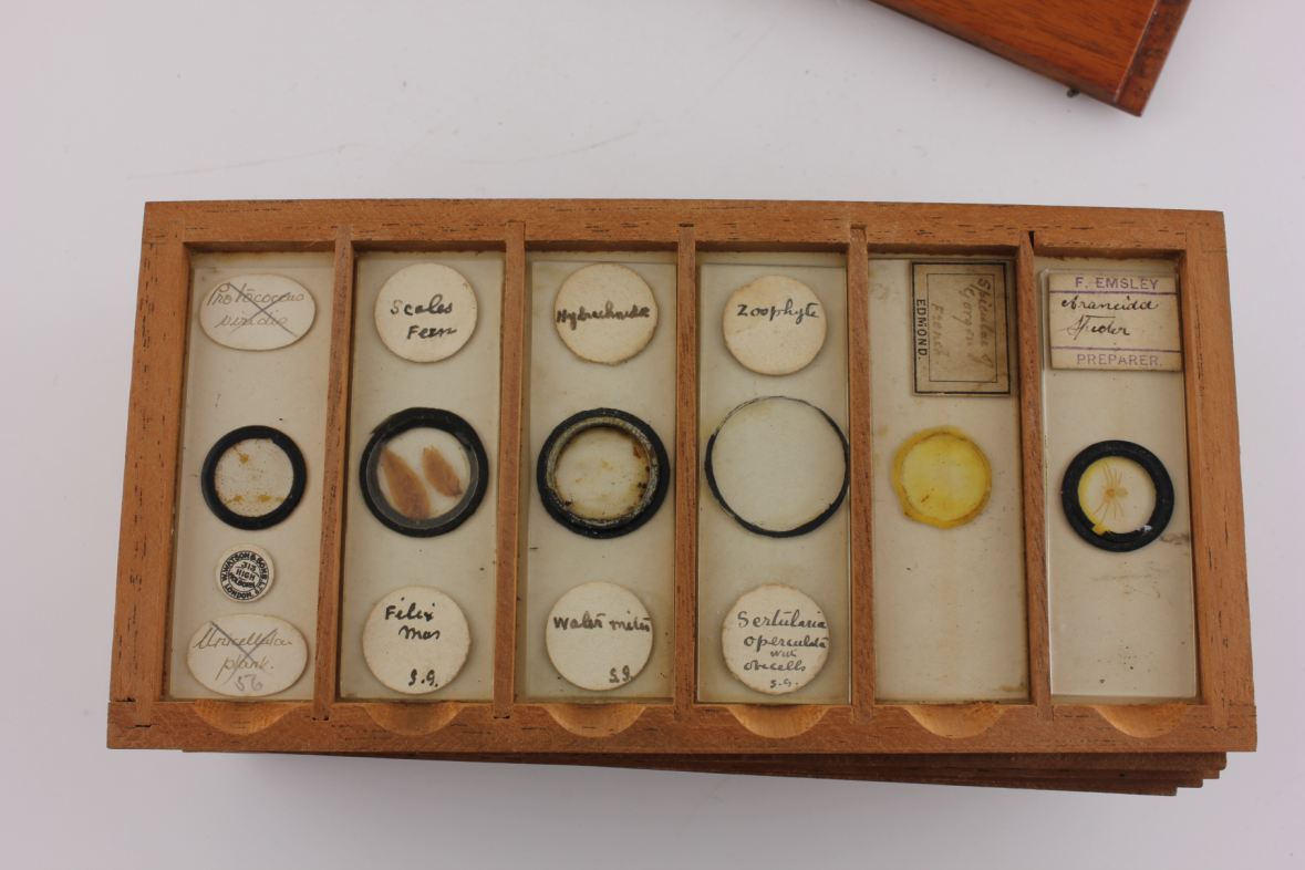 Antique Microscope Slides In Wooden Cabinet. Boxed Set. C1890.
