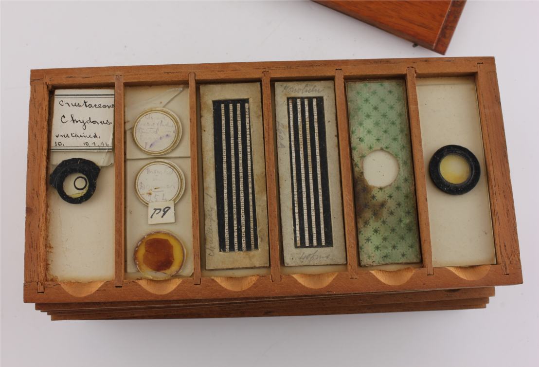 Antique Microscope Slides In Wooden Cabinet. Boxed Set. C1890.
