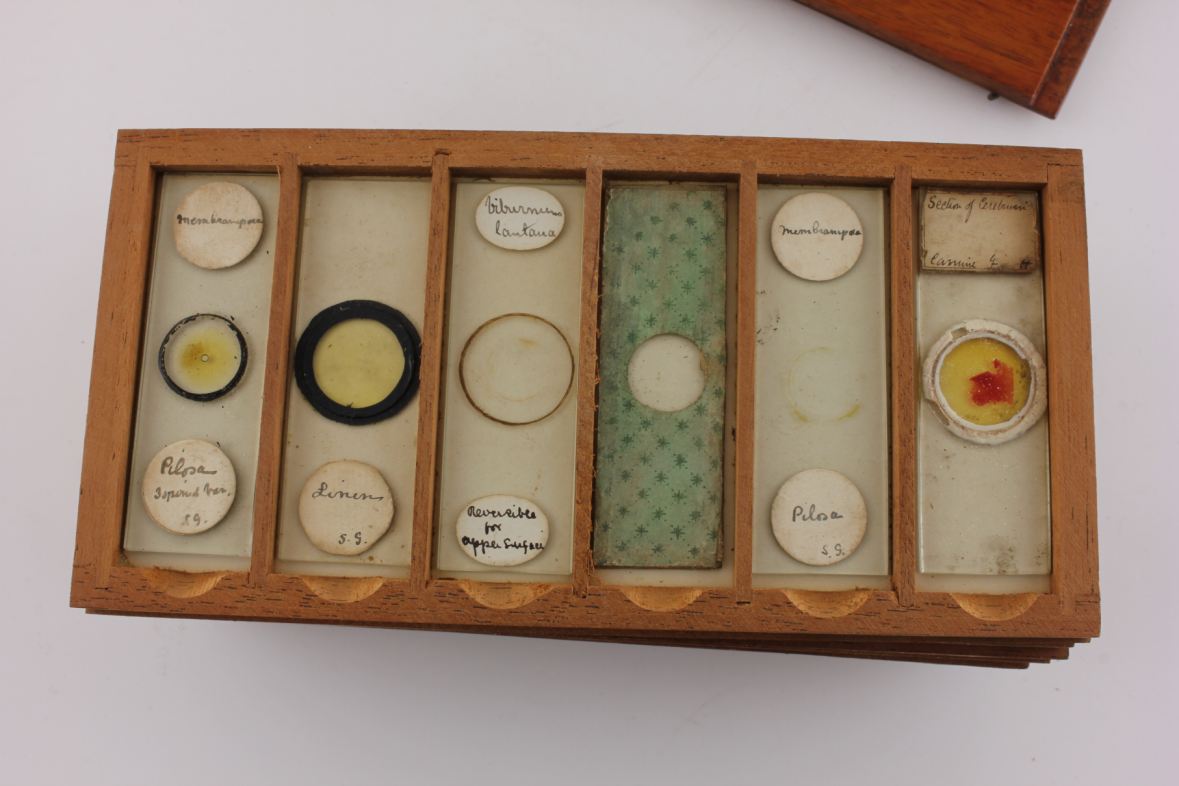 Antique Microscope Slides In Wooden Cabinet. Boxed Set. C1890.