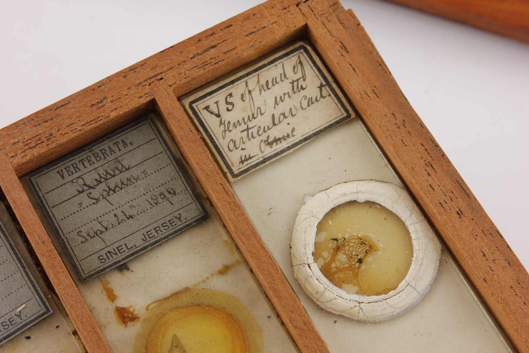 Antique Microscope Slides In Wooden Cabinet. Boxed Set. C1890.