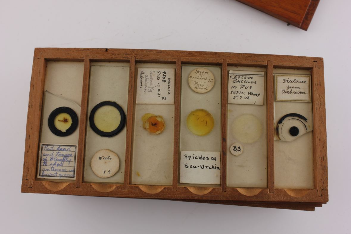 Antique Microscope Slides In Wooden Cabinet. Boxed Set. C1890.