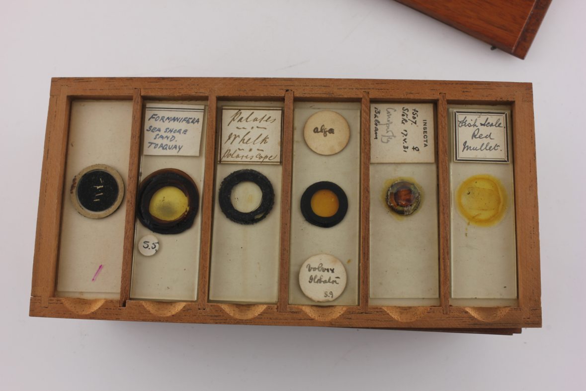 Antique Microscope Slides In Wooden Cabinet. Boxed Set. C1890.