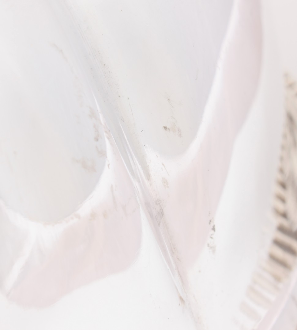 Large Old Sheffield Plate Meat Cover. Pike Crest. Geddes. Capta Majora.