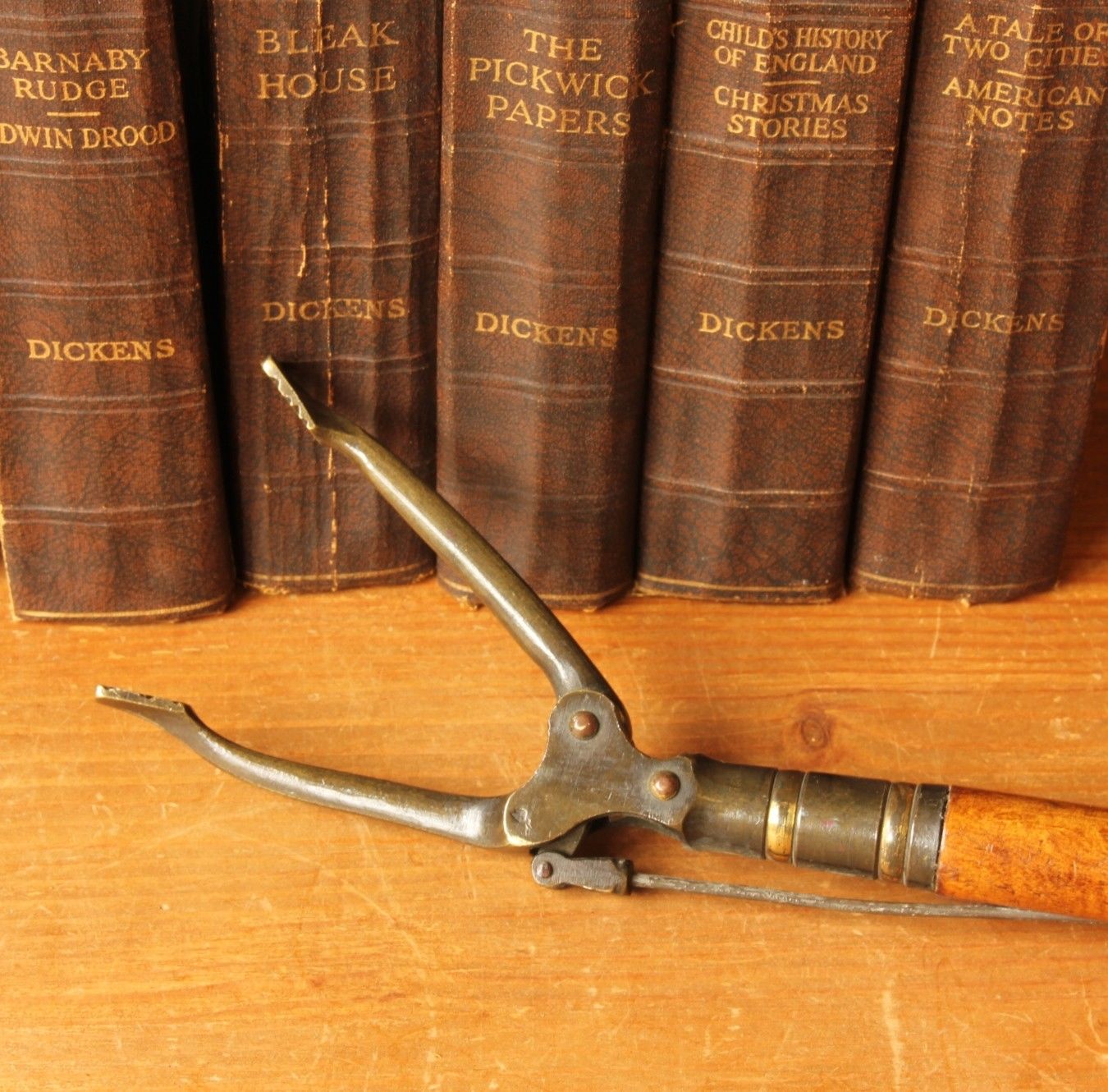 19th Century Mahogany Library Grabber. Antique Book Shop Reacher / Grab.