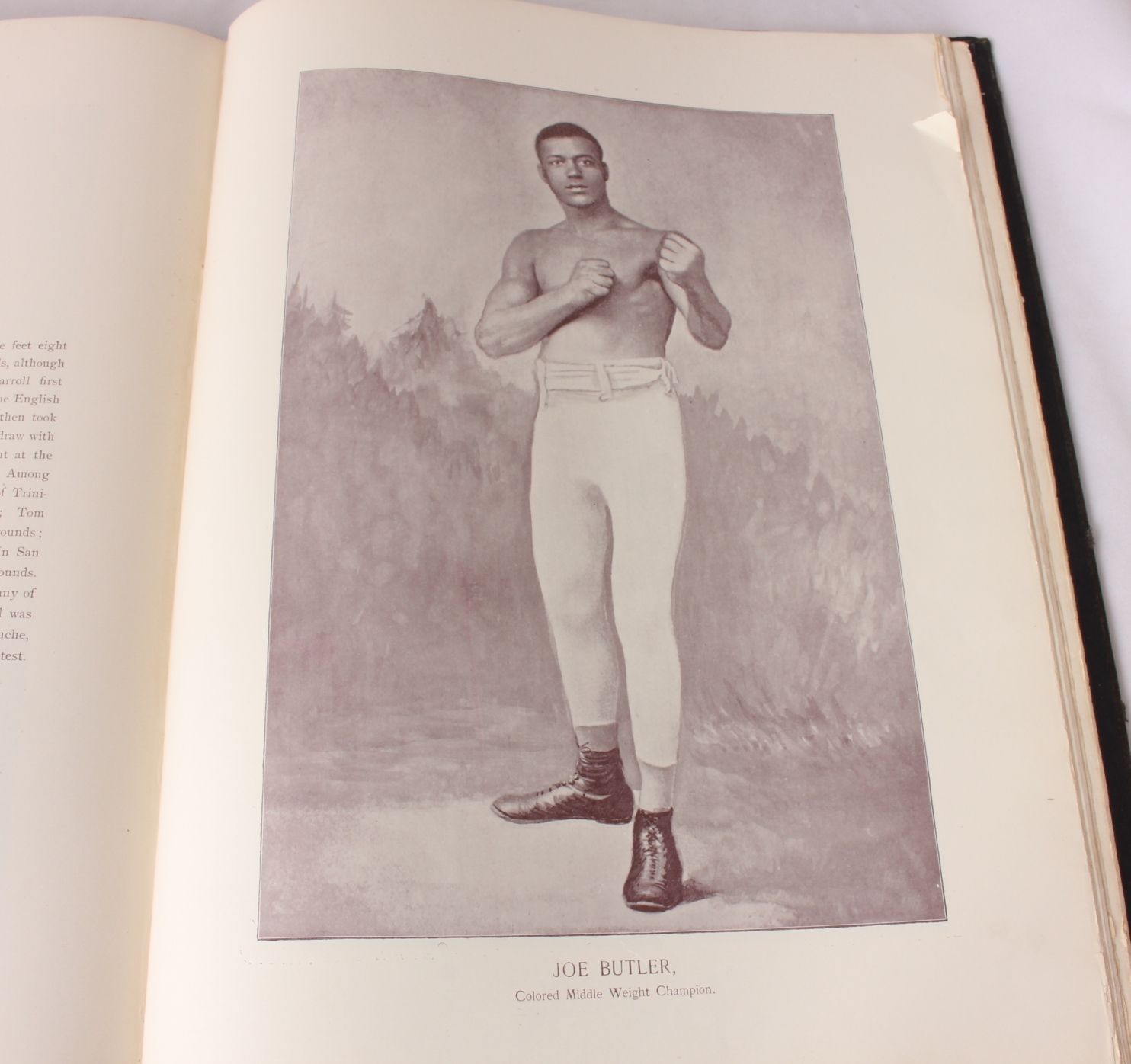 The Portrait Gallery of Pugilists. Pugilism Bare Knuckle Boxing Print ...