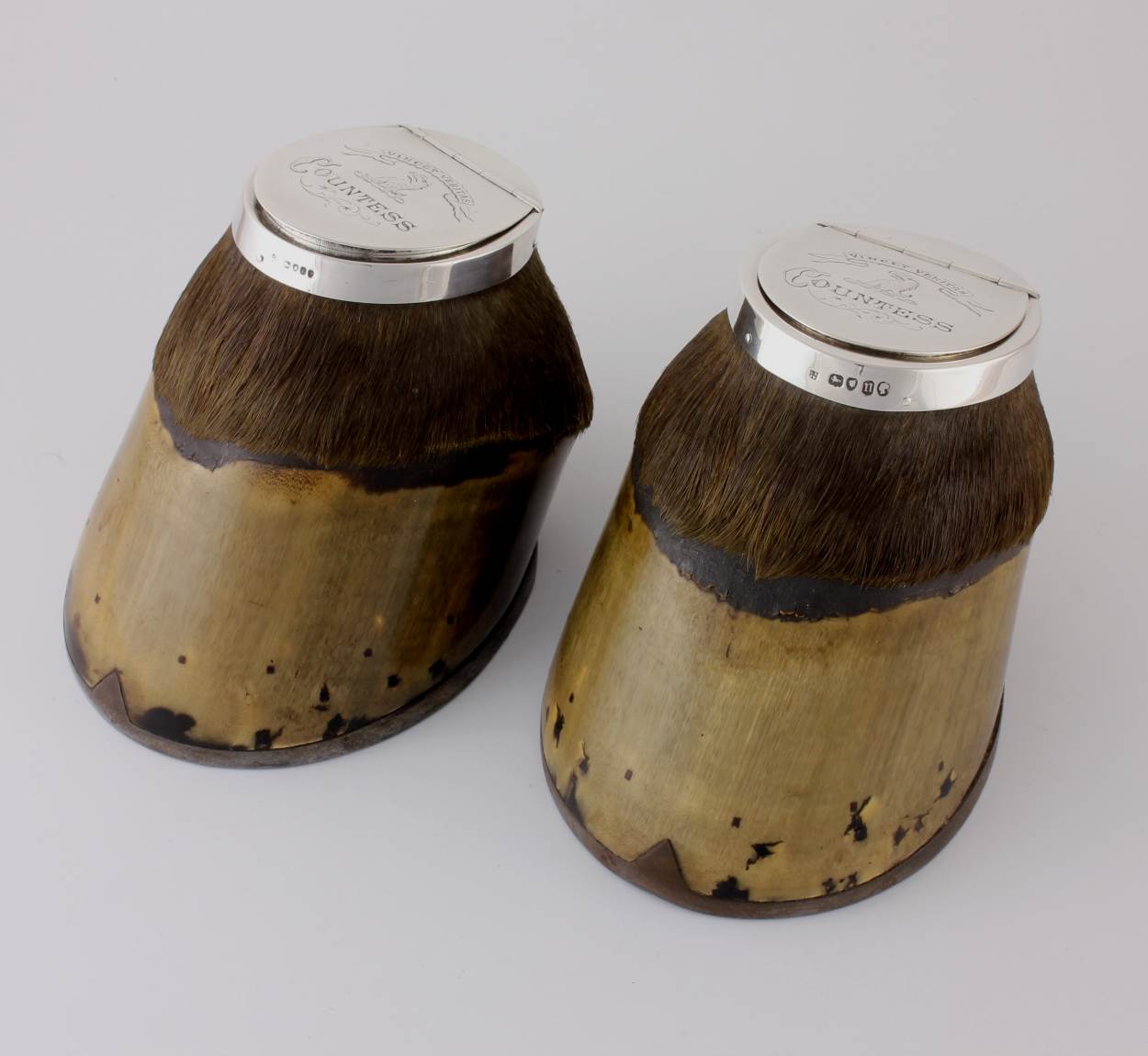 Silver Horse Hoof Inkwell & Snuff Box. Countess Vincet Veritas. 1868.