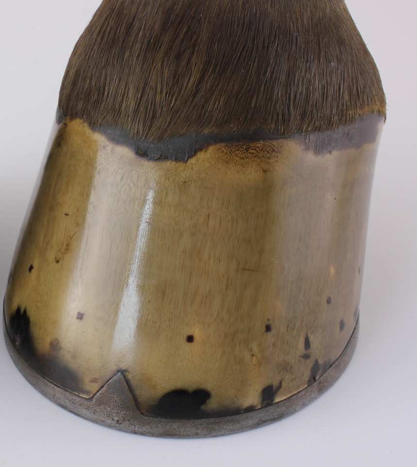 Silver Horse Hoof Inkwell & Snuff Box. Countess Vincet Veritas. 1868.