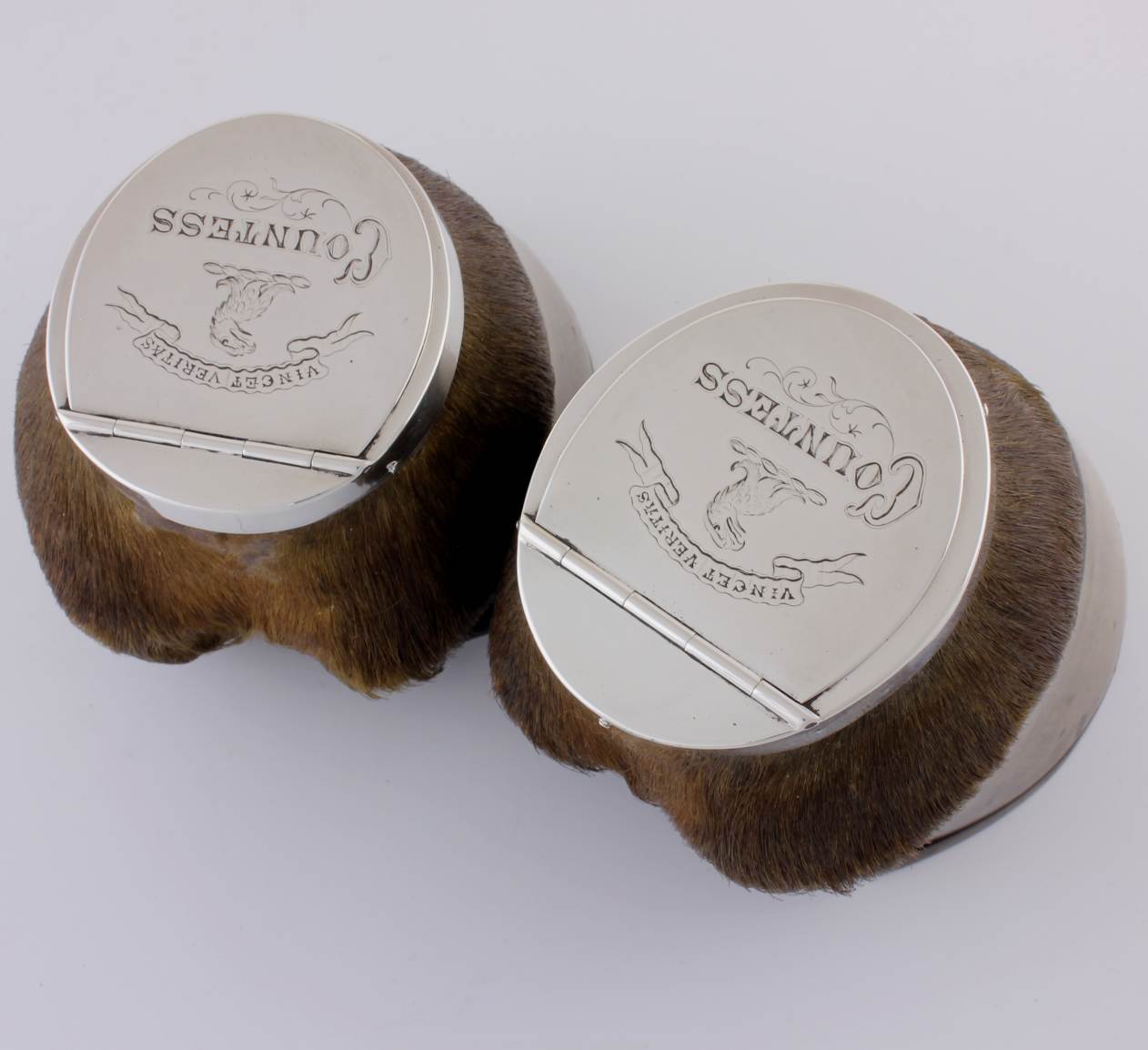 Silver Horse Hoof Inkwell & Snuff Box. Countess Vincet Veritas. 1868.