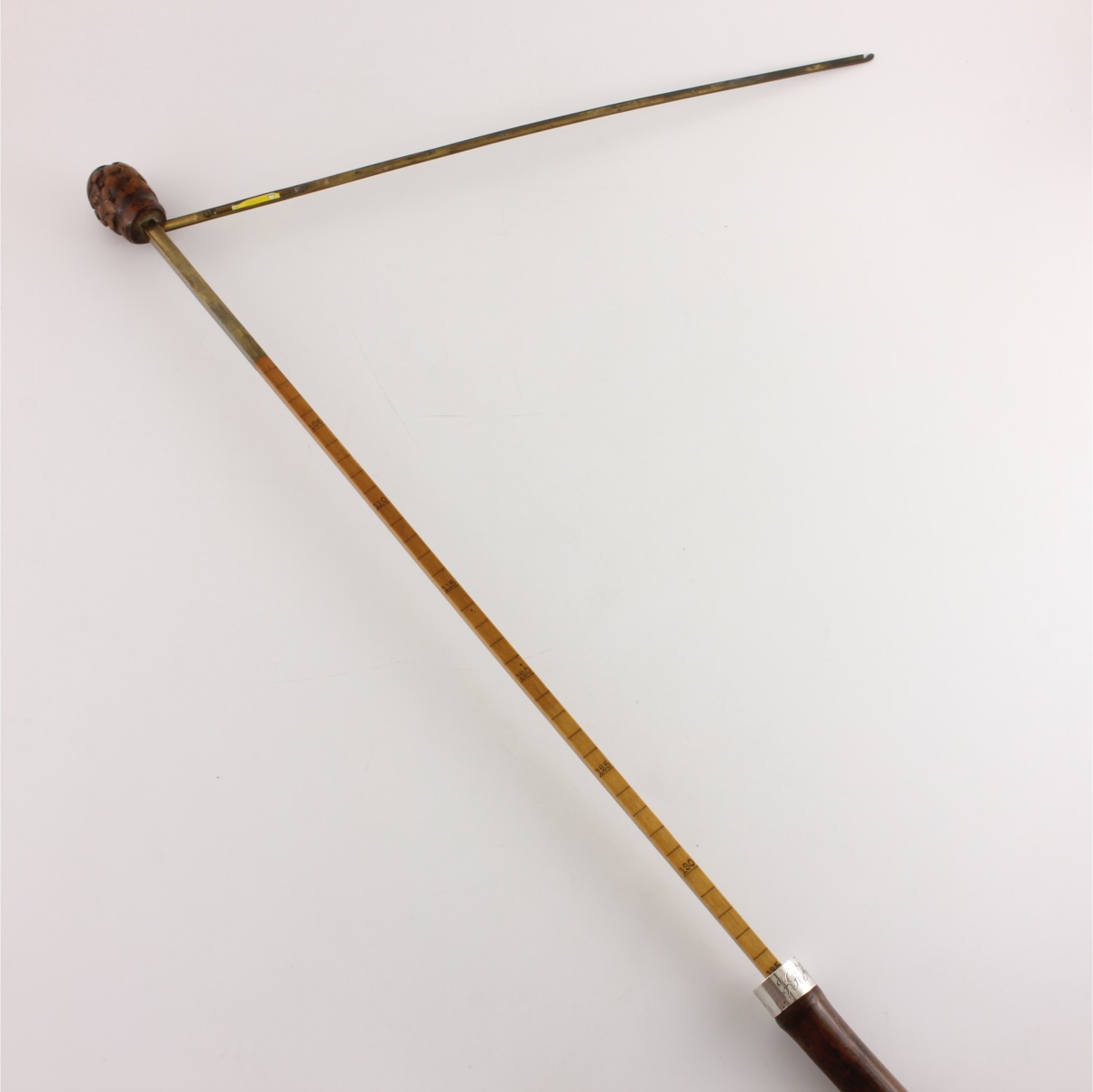 Bamboo Root Walking Cane Horse Measuring Stick. Swaine & Adeney c1900.