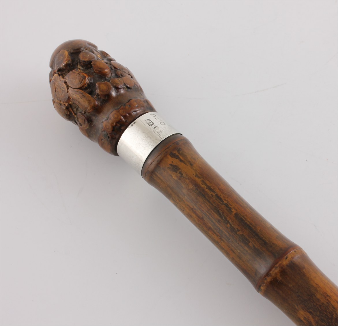 Bamboo Root Walking Cane Horse Measuring Stick. Swaine & Adeney c1900.